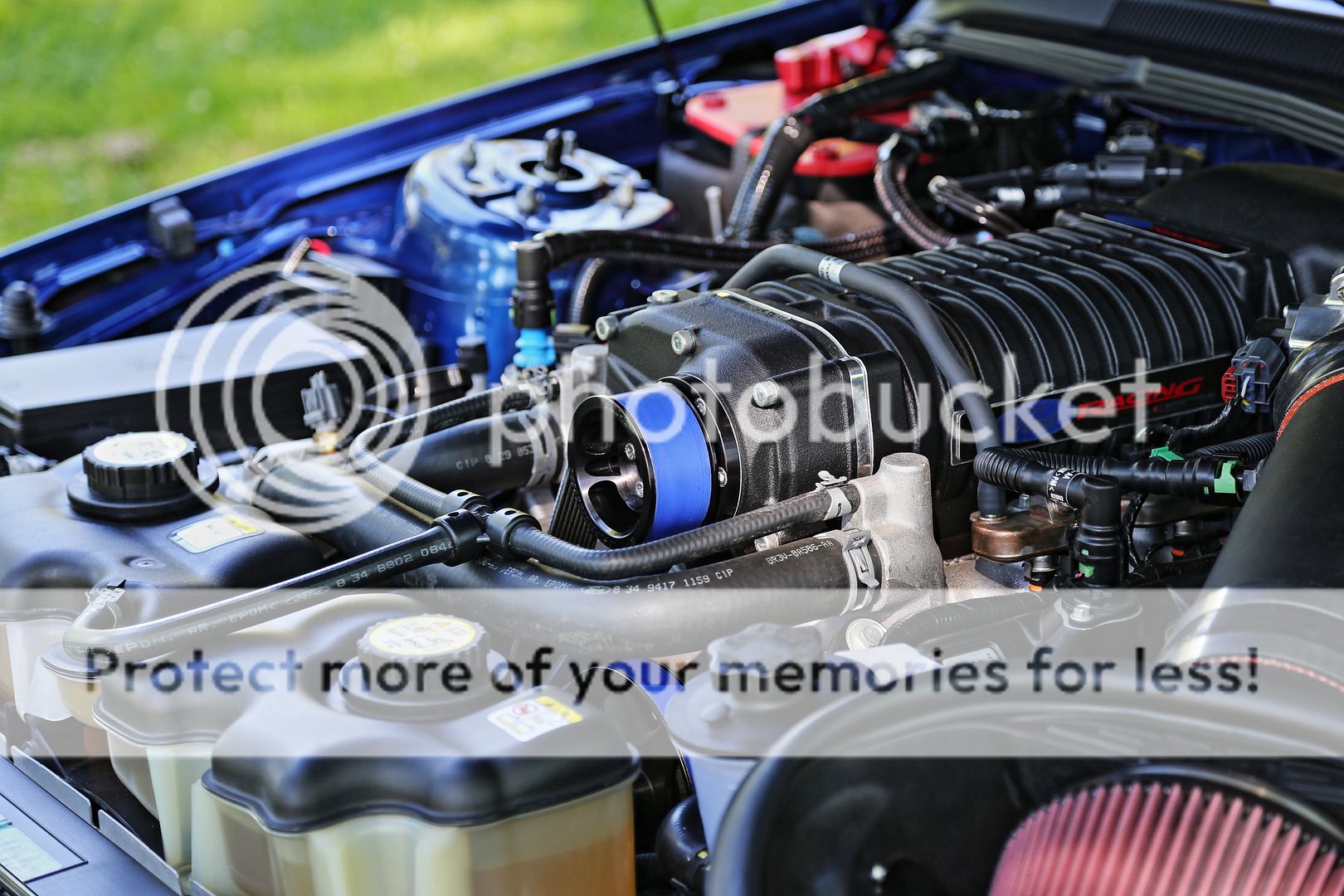 REVAN RACING EXCLUSIVE Gates Blue Racing Belts | Ford Shelby GT500 Forum