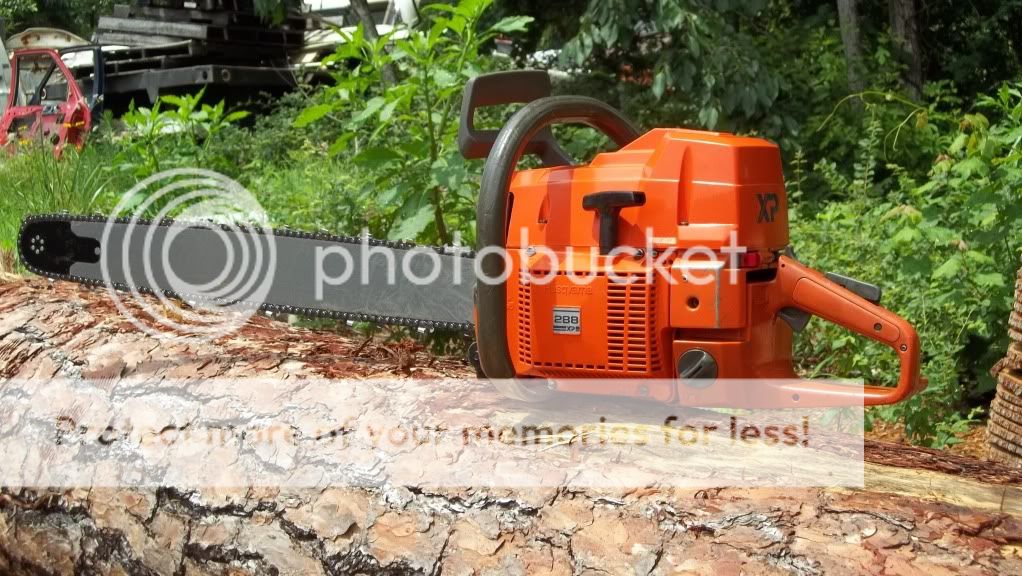 Can we start a best looking saw thread! | Arboristsite.com