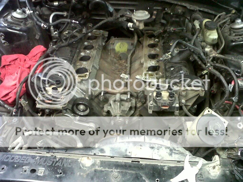 98 mustang gt pi swap Romeo to Windsor? | Modded Mustang Forums