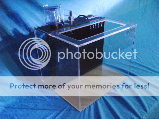 my biocube 29 HQI, with sump/fuge in stand | MonsterFishKeepers.com